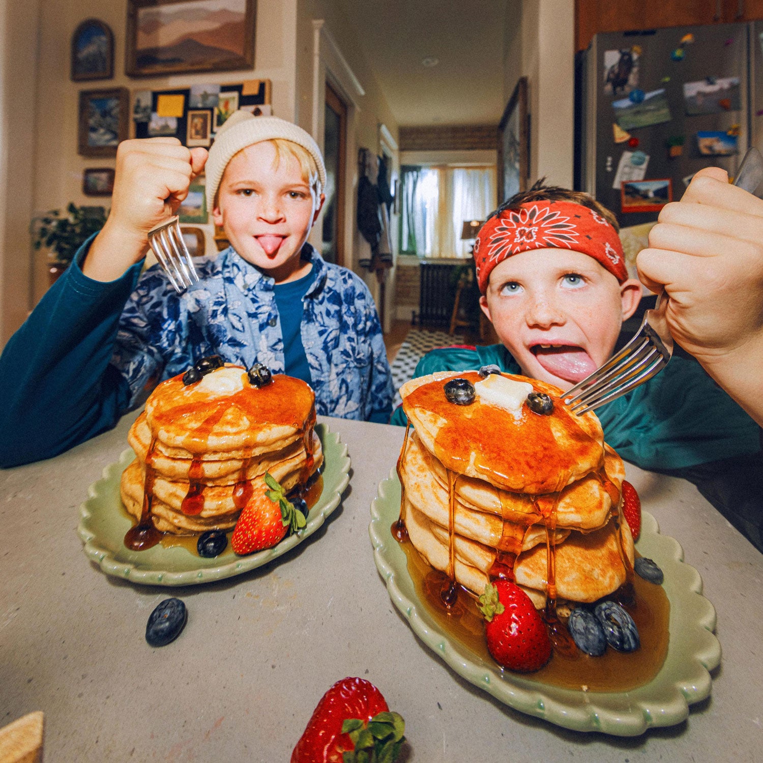 All Kodiak Products | Flapjacks, Waffles, Snacks & More | KodiakCakes.com